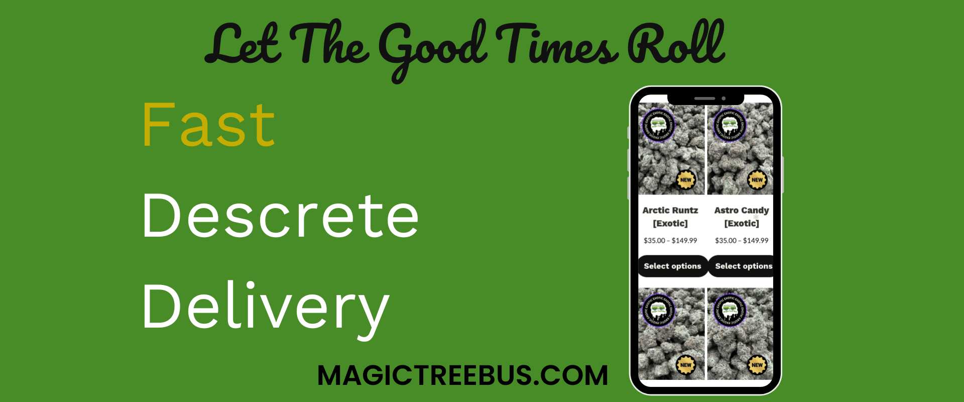 Deal of the Day - Magic Tree Bus